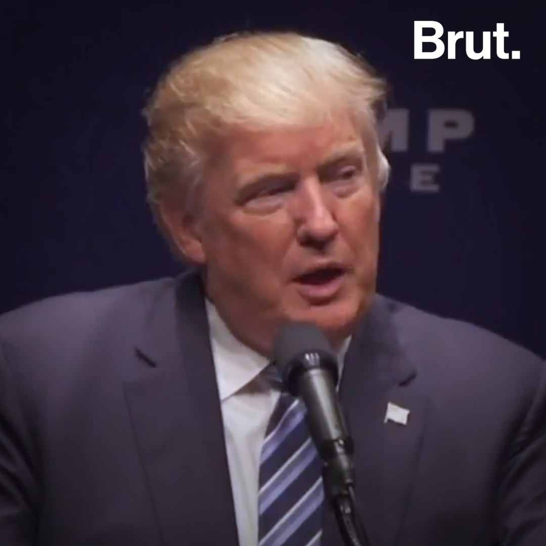 Trump claims he knows nothing about WikiLeaks | Brut. Trump claims he knows nothing about WikiLeaks | Brut.
